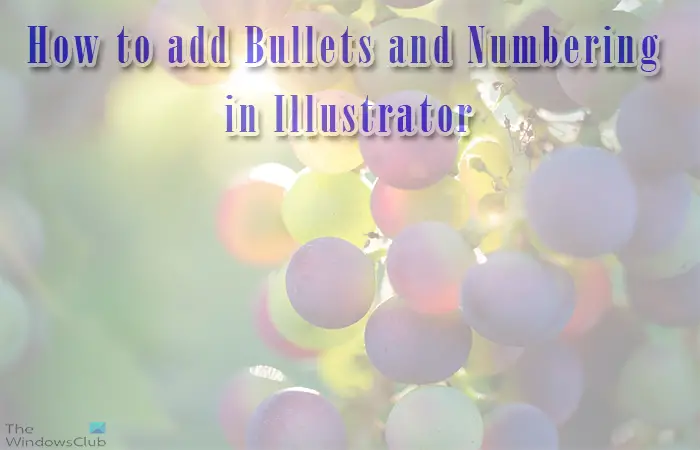  Illustrator 